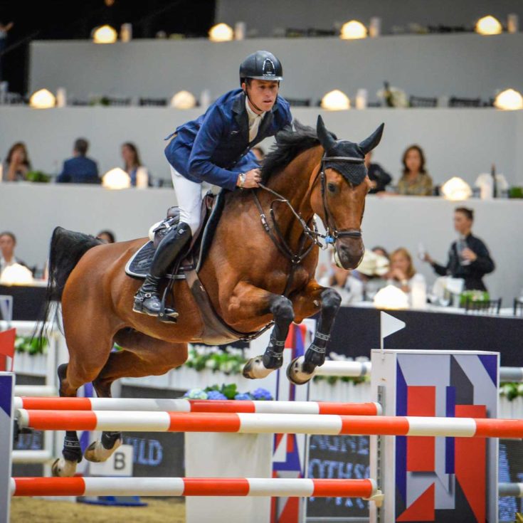 Hello M'Lady - Scott Brash Equestrian