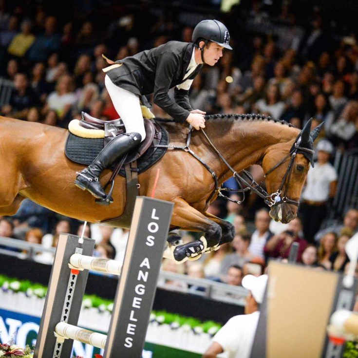 Hello M'Lady - Scott Brash Equestrian