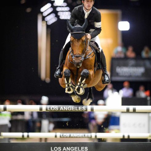 Hello M'Lady - Scott Brash Equestrian