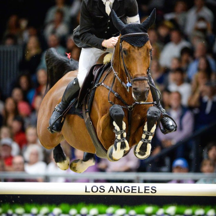 Hello M'Lady - Scott Brash Equestrian